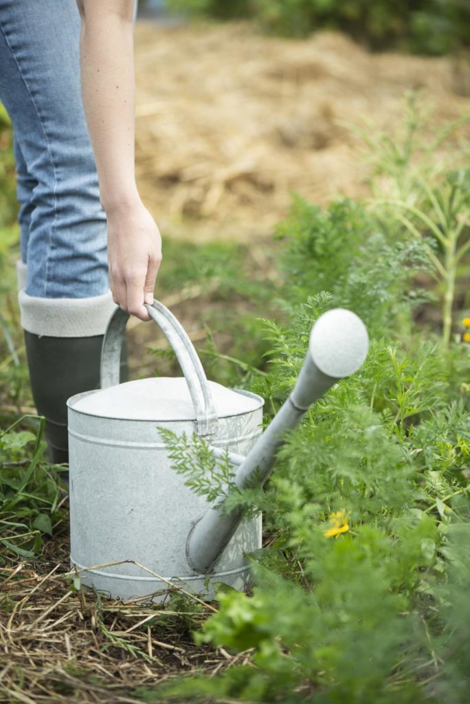 Arrosoir en zinc | Côté Coeur Côté Jardin